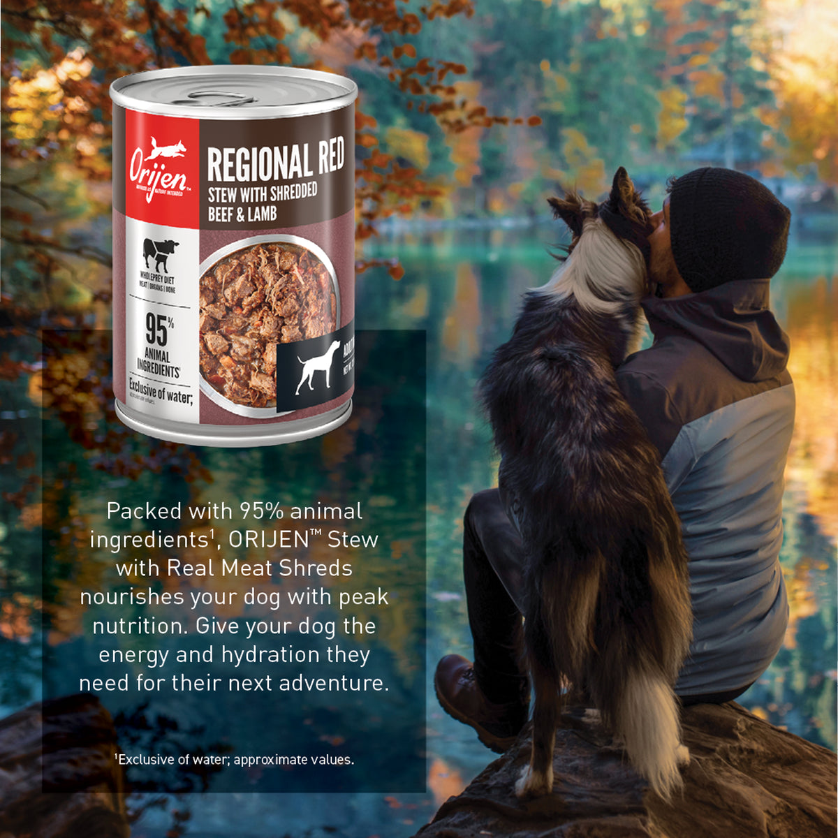 【Orijen】Dog Regional Red Stew Recipe with Shredded Beef & Lamb - 363g ...