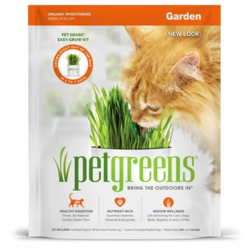 【BELLROCK】 Pet Green Pet Grass Self Grow Kit Garden 3oz – PawPawDear