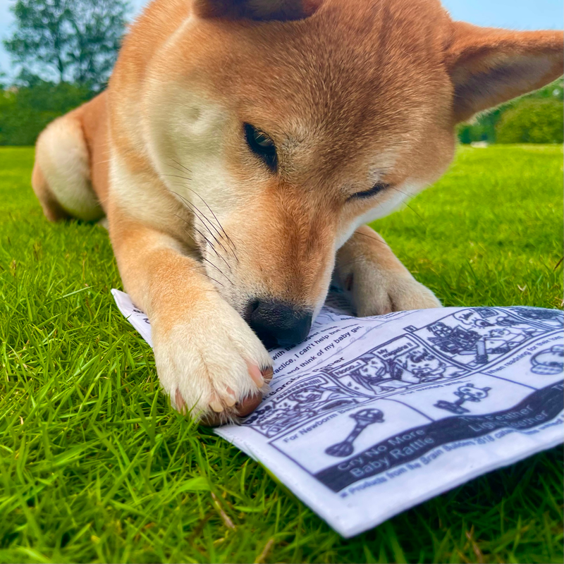 Newspaper Crinkle Toy – PawPawDear